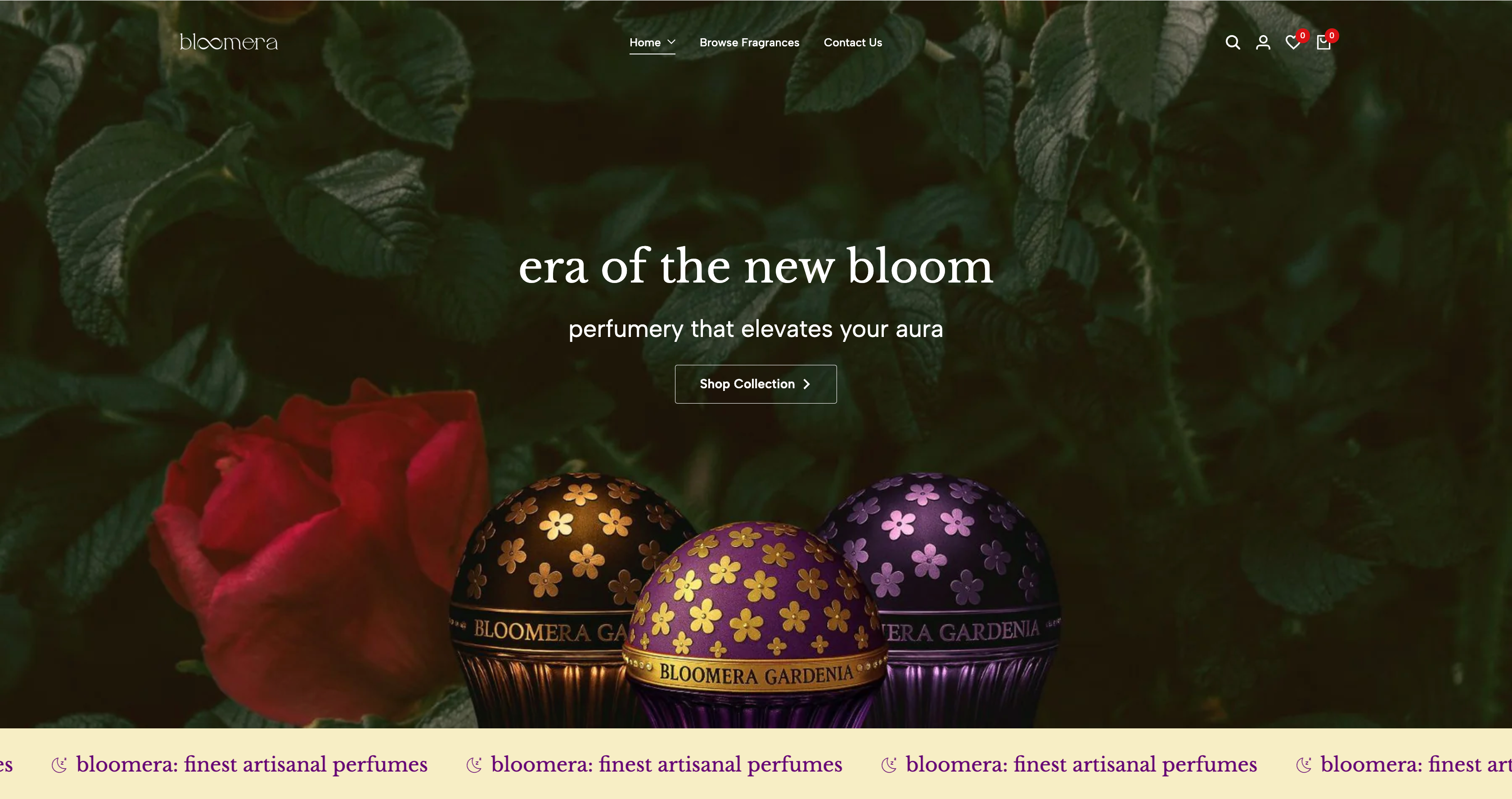 Bloomera – Bloomera